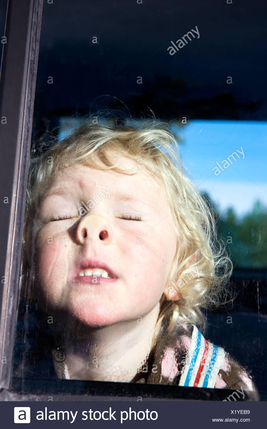 Nose Against The Window High Resolution Stock Photography and Images ...