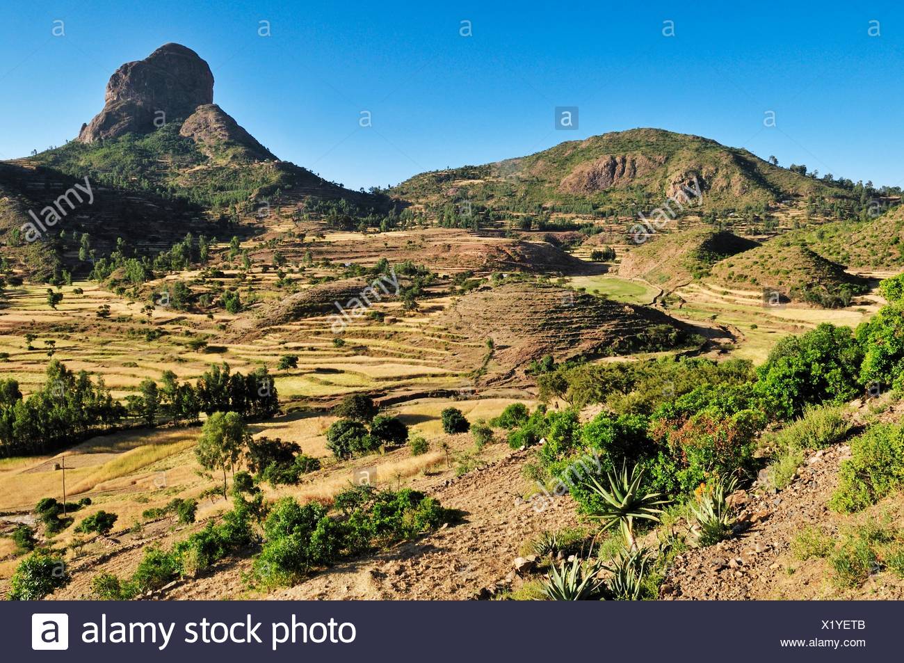 Adwa Mountains High Resolution Stock Photography and Images - Alamy