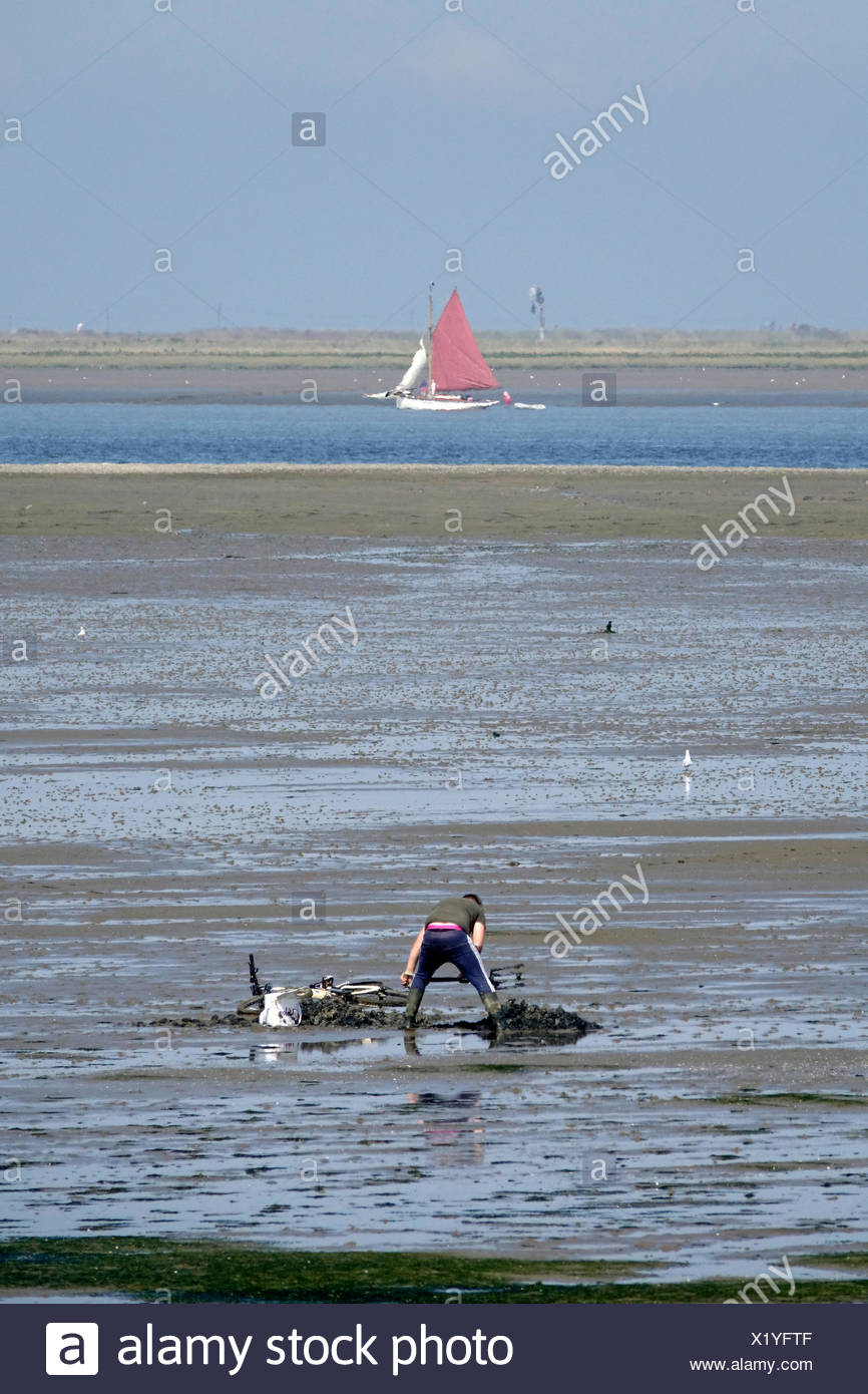 South Swale High Resolution Stock Photography and Images - Alamy