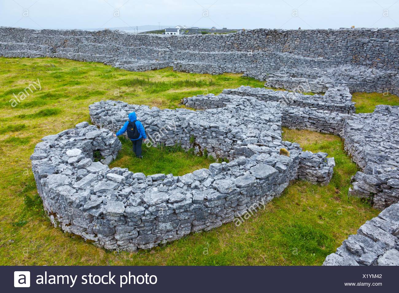 Inis Oirr Stock Photos & Inis Oirr Stock Images - Alamy