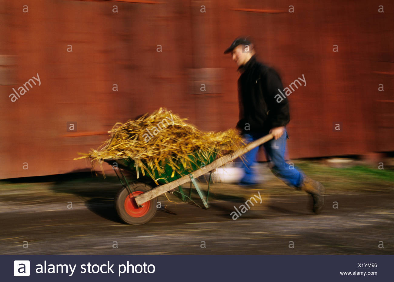 Man Pushing Wheel Barrow Stock Photos & Man Pushing Wheel Barrow Stock ...