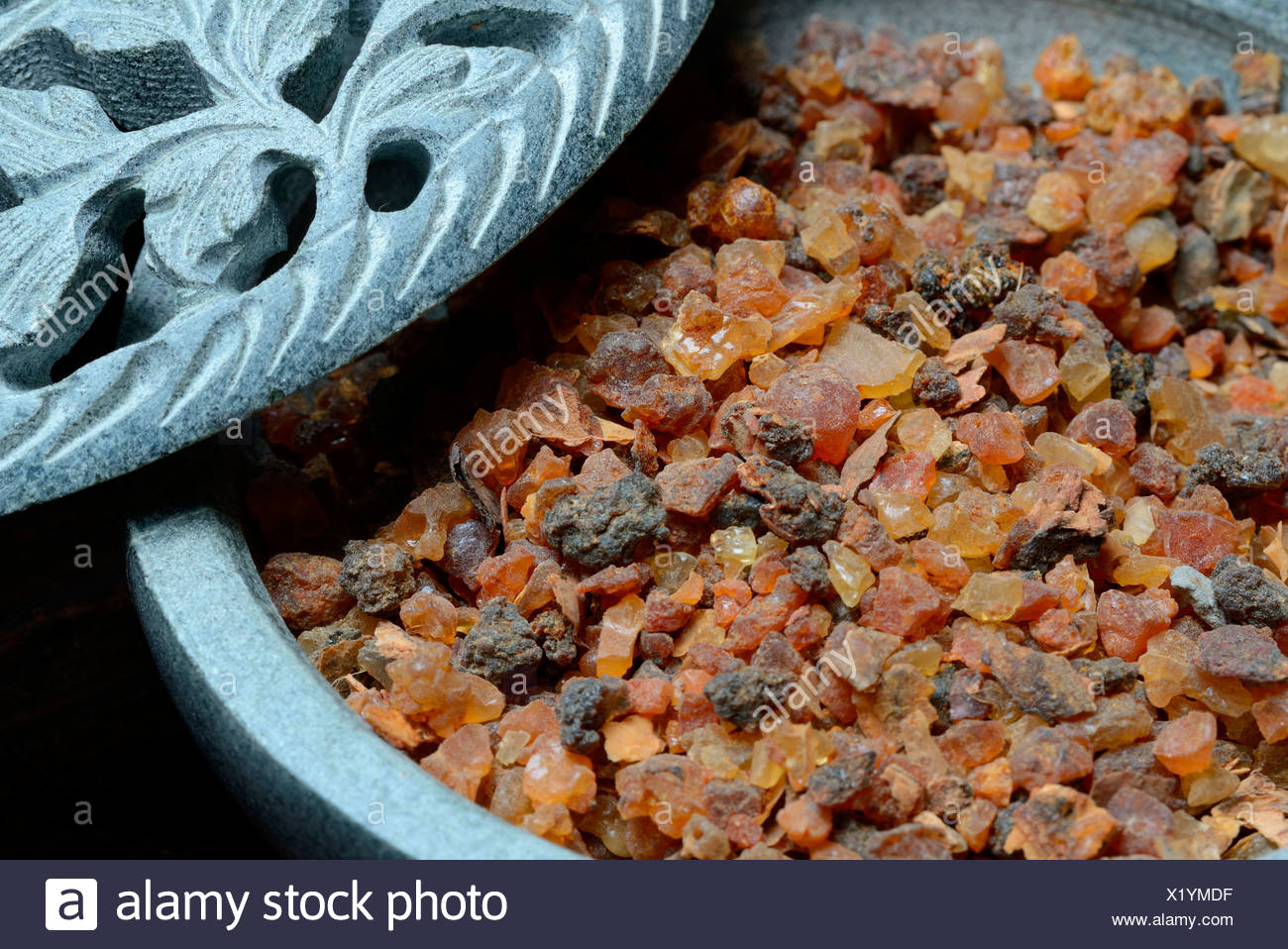 Commiphora High Resolution Stock Photography and Images - Alamy