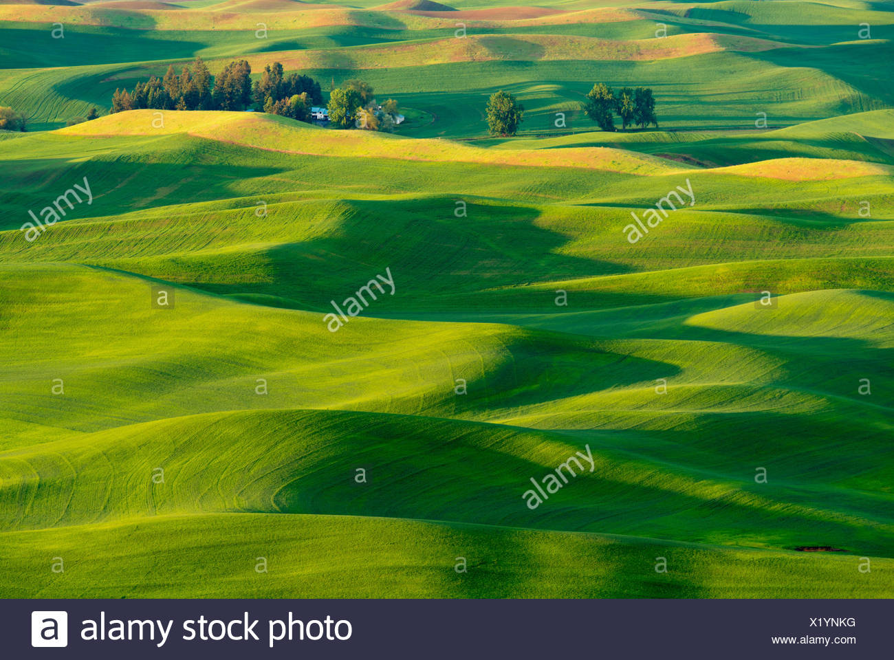 Loess Soil Stock Photos & Loess Soil Stock Images - Alamy