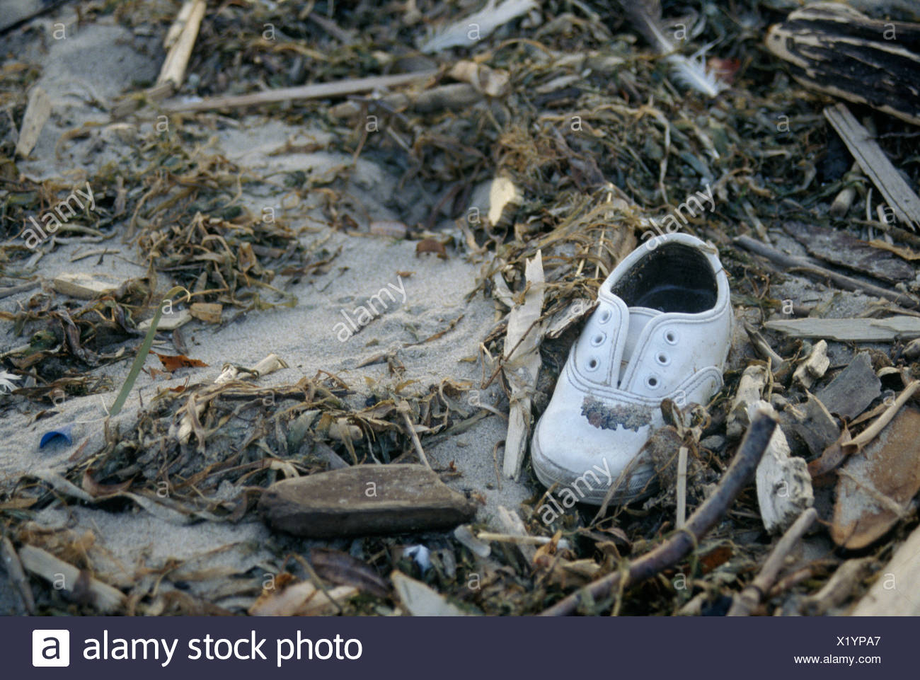 Lost Shoe Stock Photos & Lost Shoe Stock Images - Alamy
