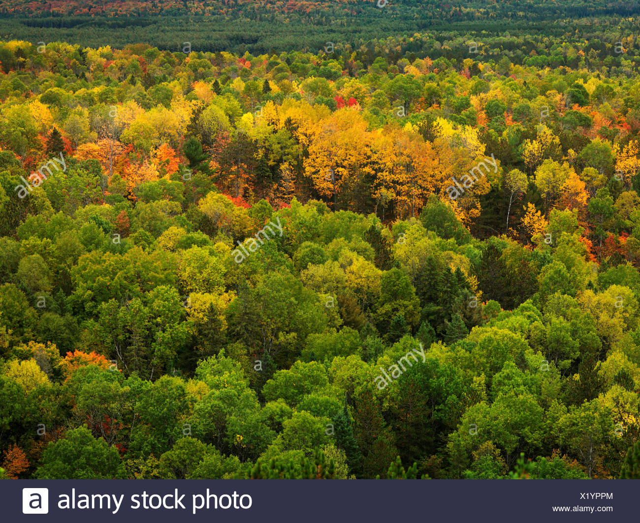 Canada Forest Aerial Stock Photos & Canada Forest Aerial Stock Images ...