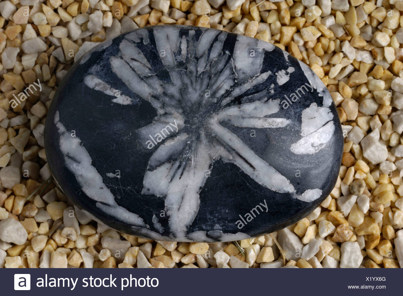 Porphyrit High Resolution Stock Photography and Images - Alamy