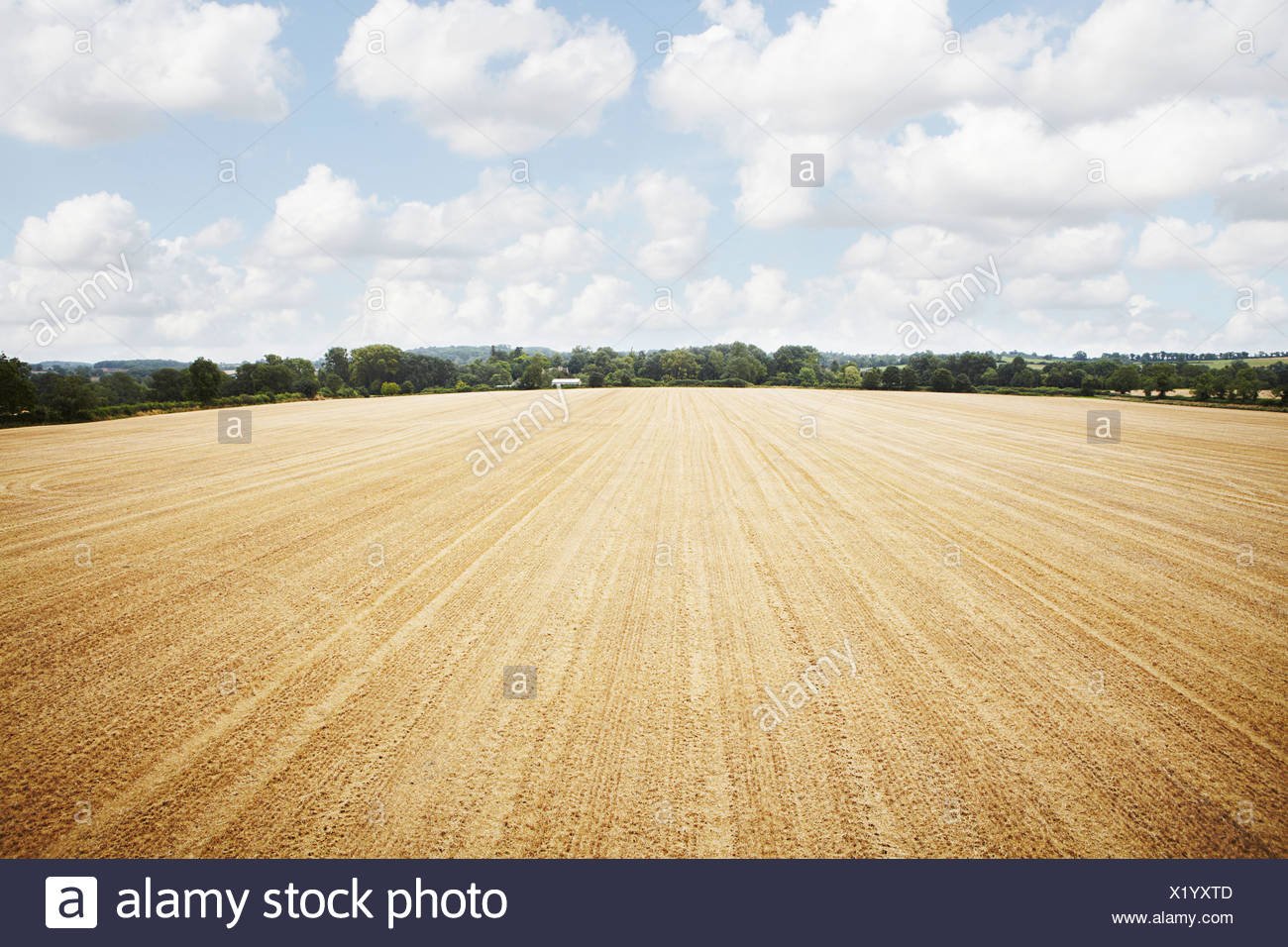 Aerial Vegetation Photography High Resolution Stock Photography and ...