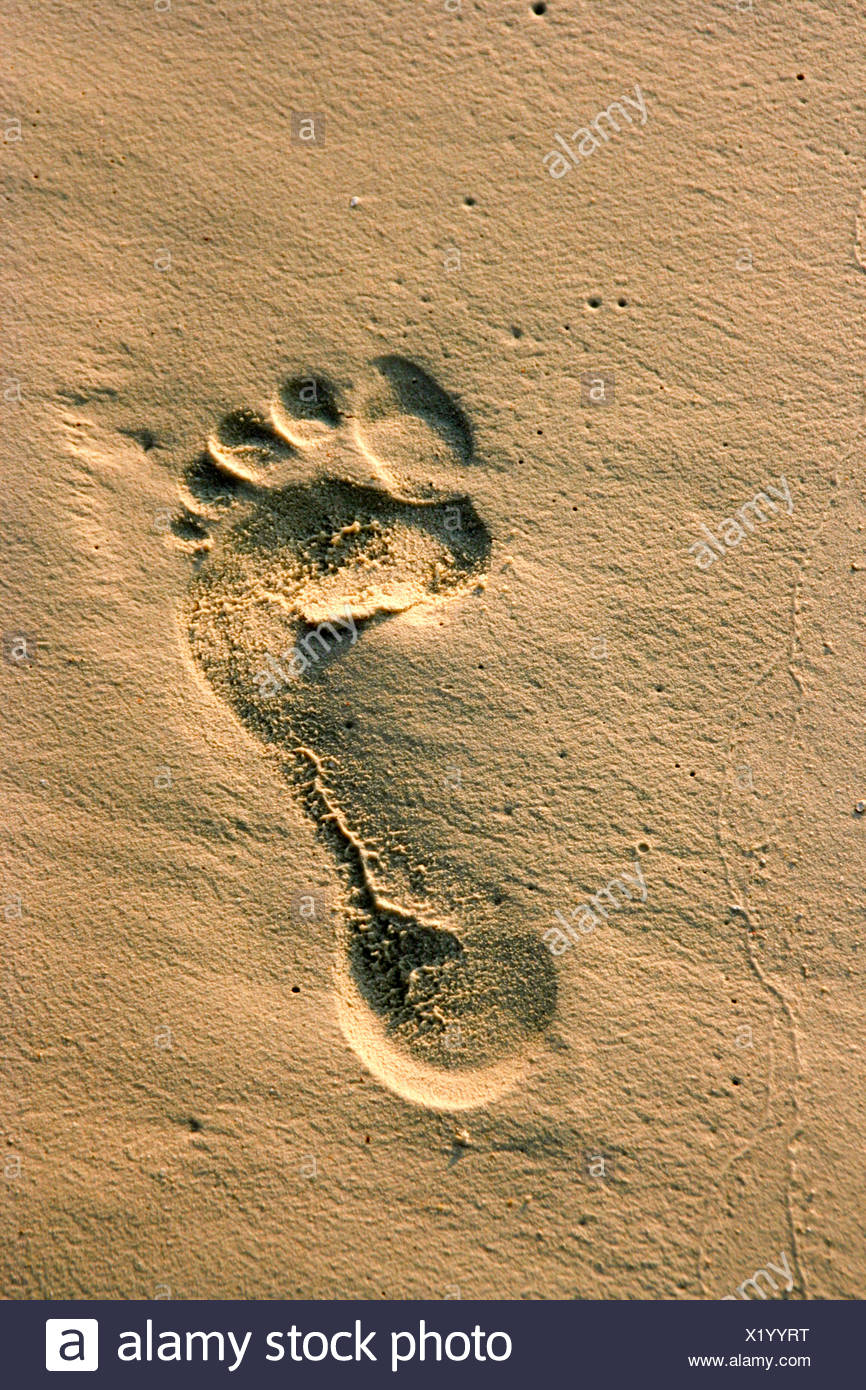 Human Trace Stock Photos & Human Trace Stock Images - Alamy