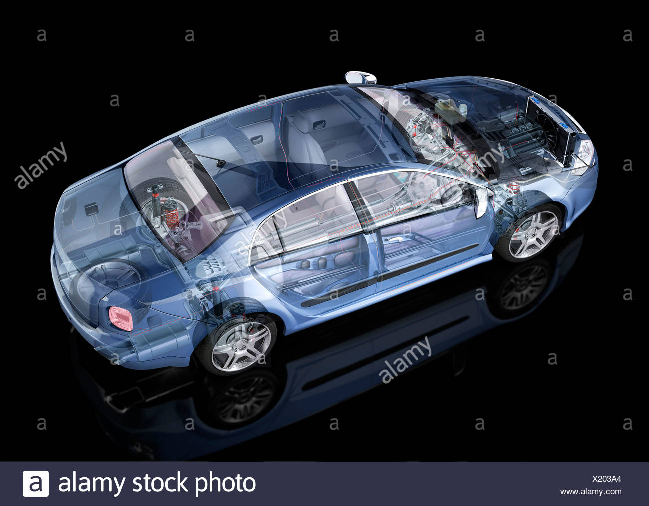 Showing Internal Structure High Resolution Stock Photography and Images ...