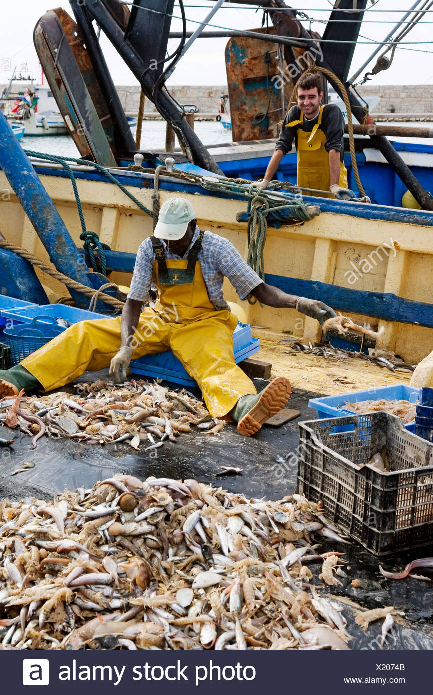 Fisherman Sorting Catch High Resolution Stock Photography and Images ...