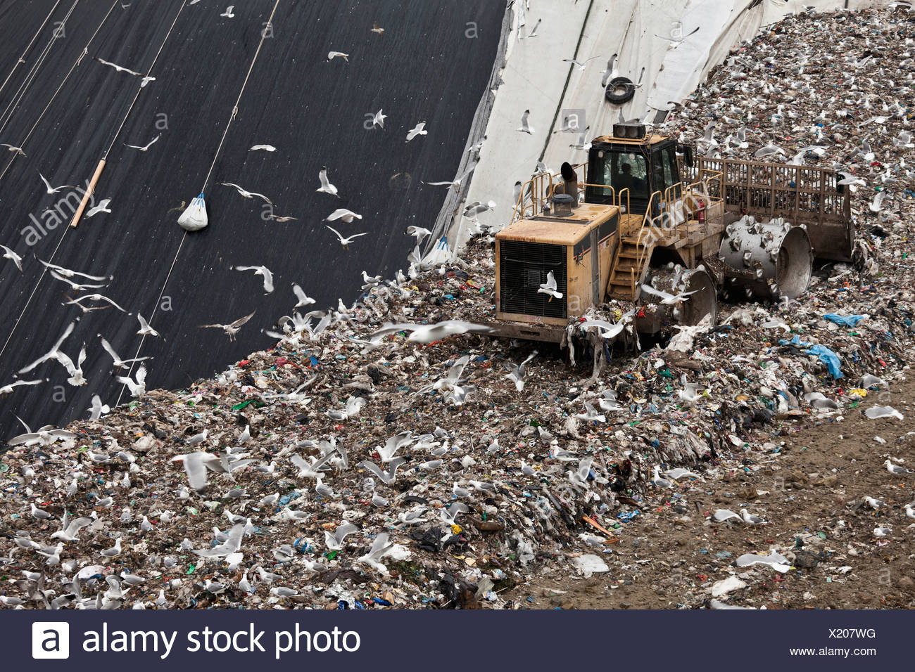 Bulldozer With Trash High Resolution Stock Photography and Images - Alamy