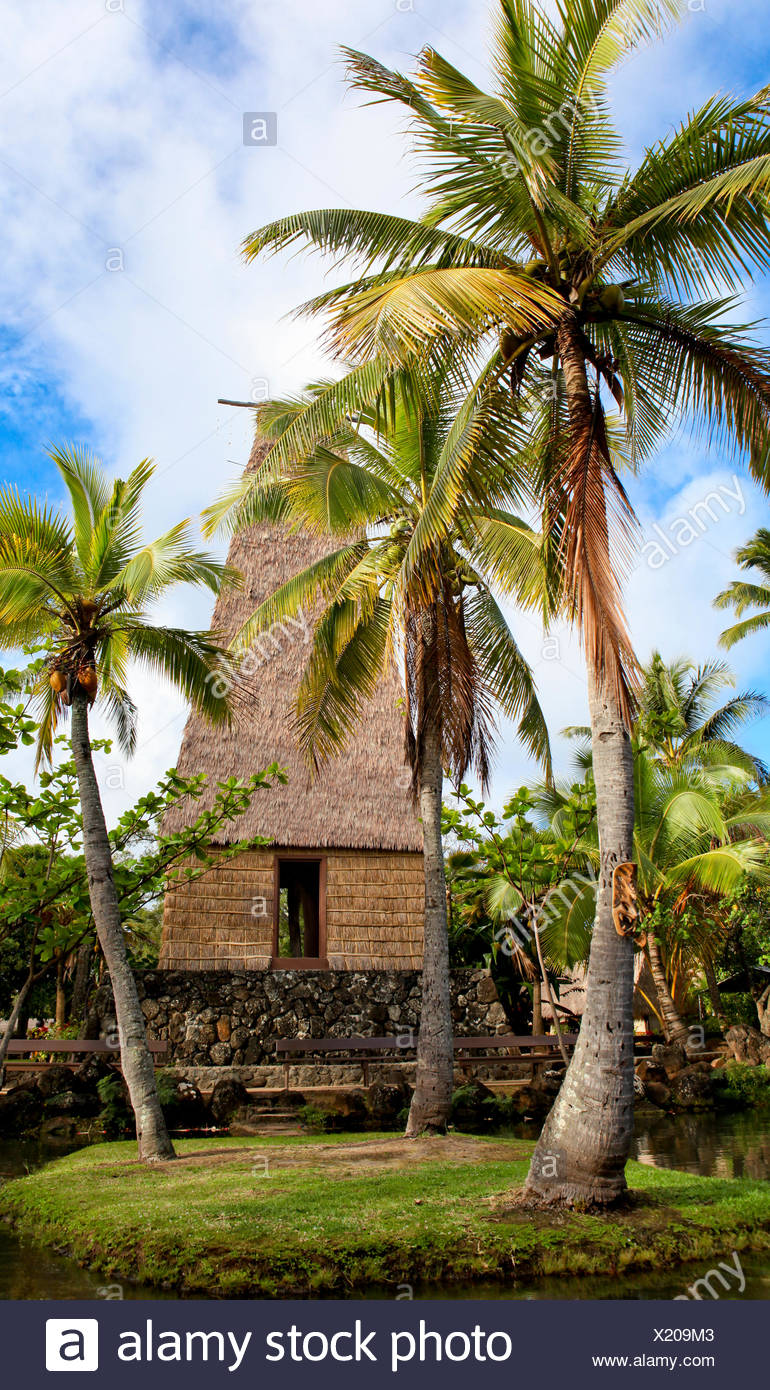 Traditional Hawaiian Hut Palm Trees High Resolution Stock Photography ...