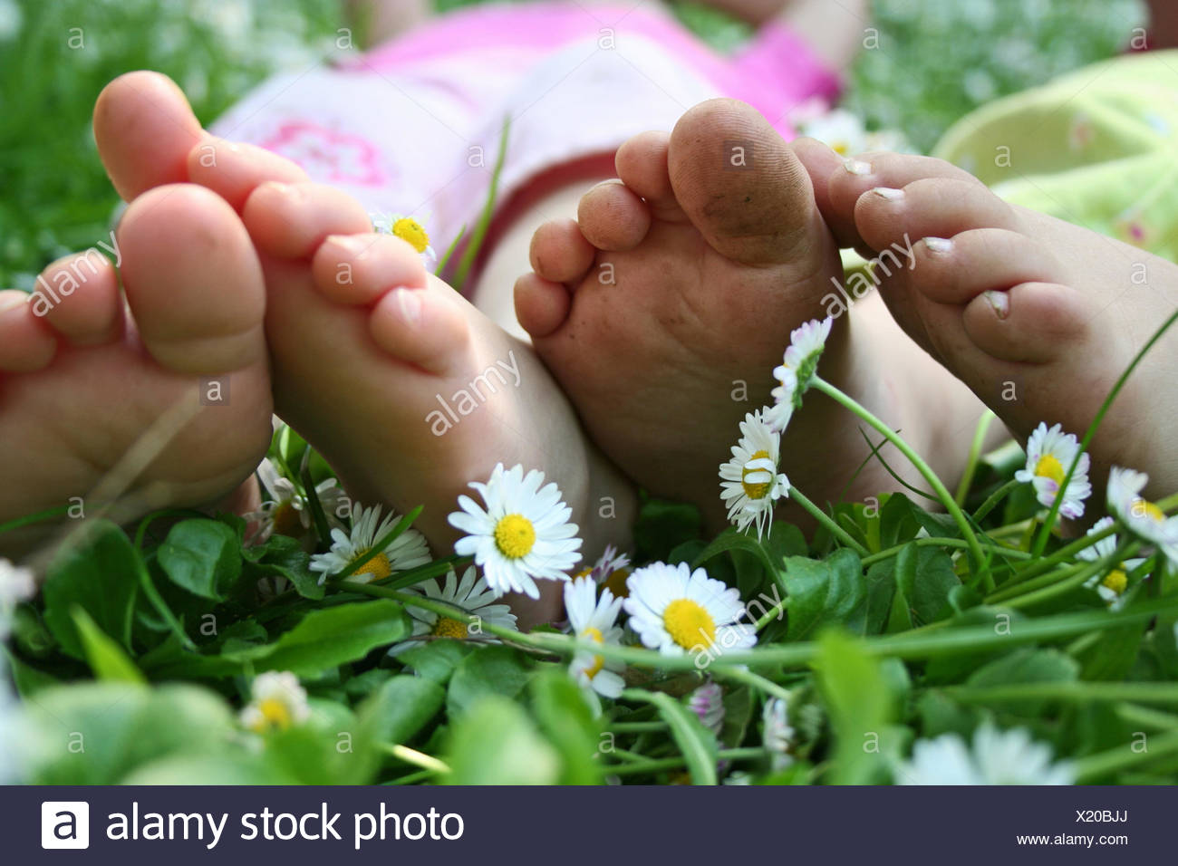 Four Toes Each Foot Stock Photos & Four Toes Each Foot Stock Images - Alamy