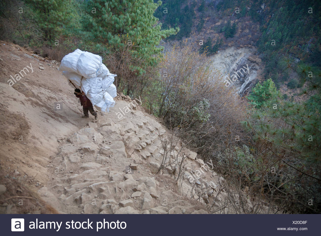 Man Carrying Load Stock Photos & Man Carrying Load Stock Images - Alamy