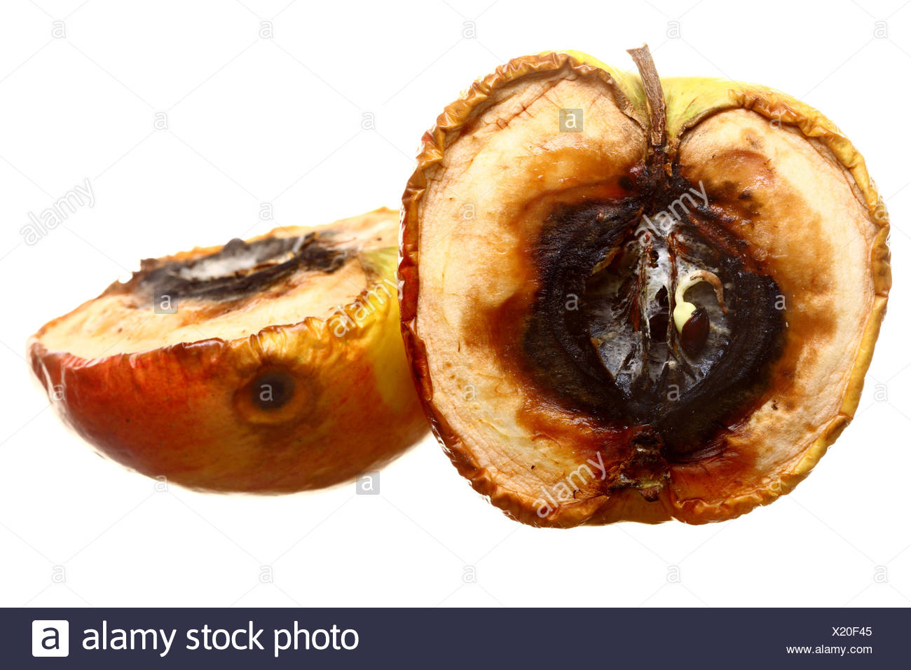 Food Rotting High Resolution Stock Photography and Images - Alamy
