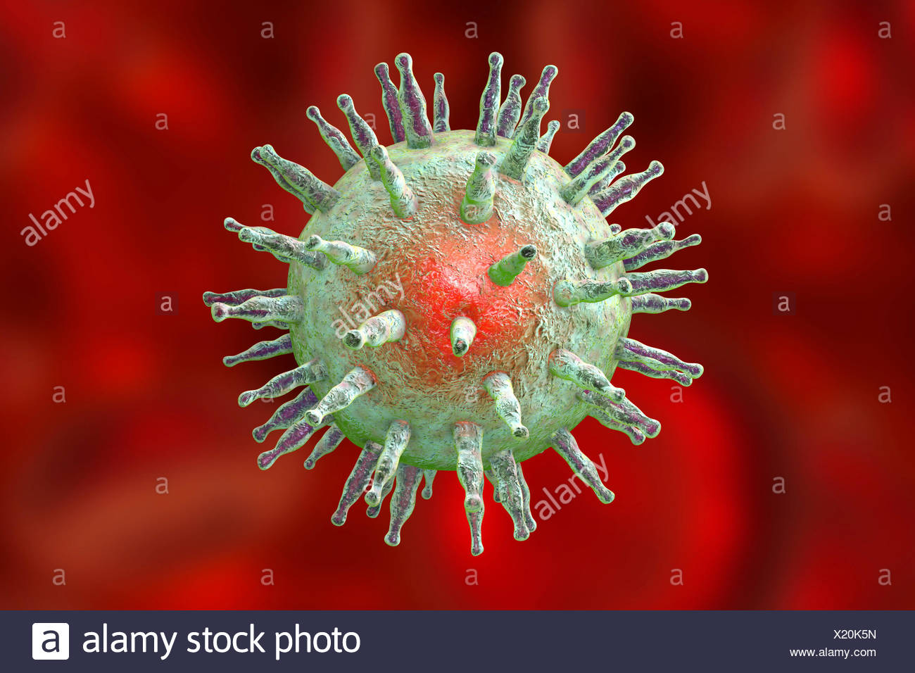 Glandular Fever Stock Photos & Glandular Fever Stock Images - Alamy