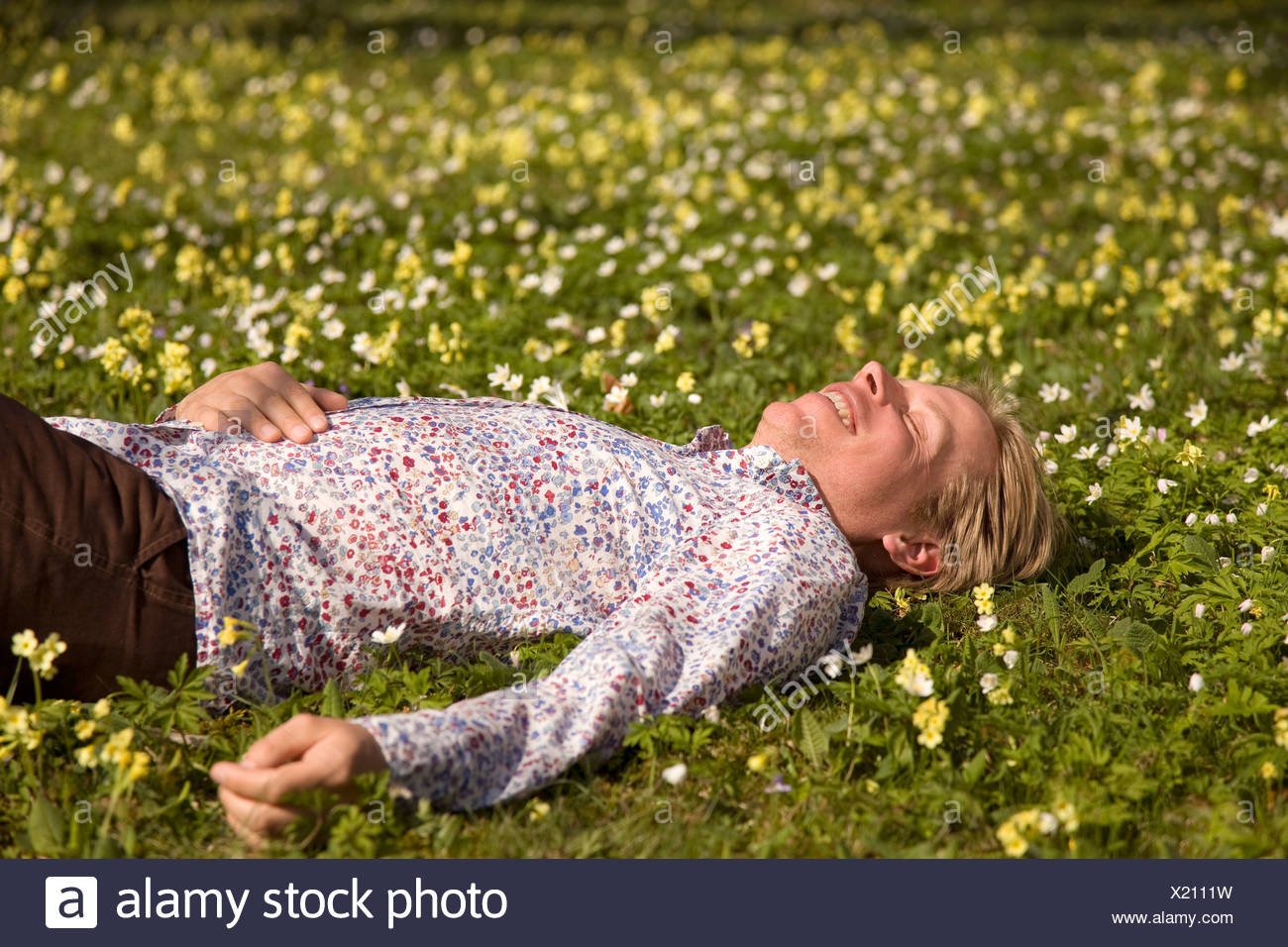 Napping Grass Stock Photos & Napping Grass Stock Images - Alamy