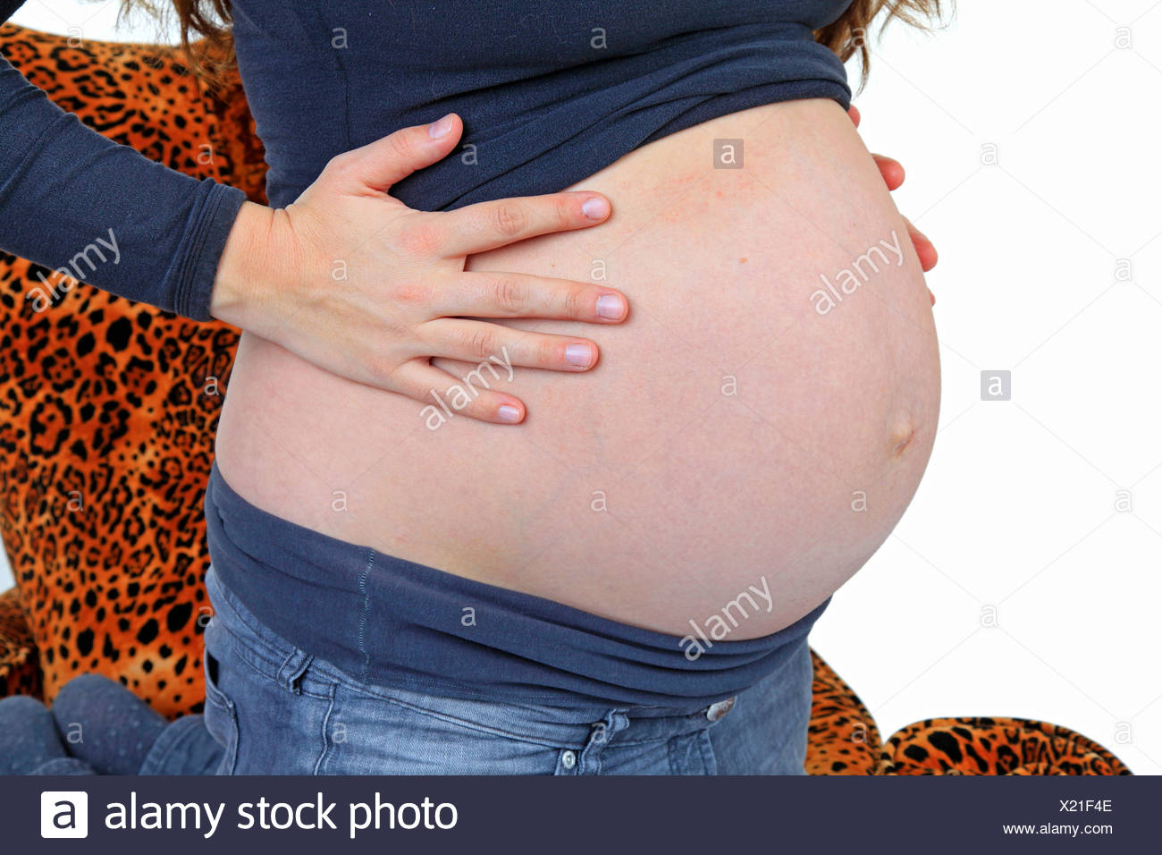 Cropped Horizontal Format Cut Out Cut Out Stock Photos & Cropped ...