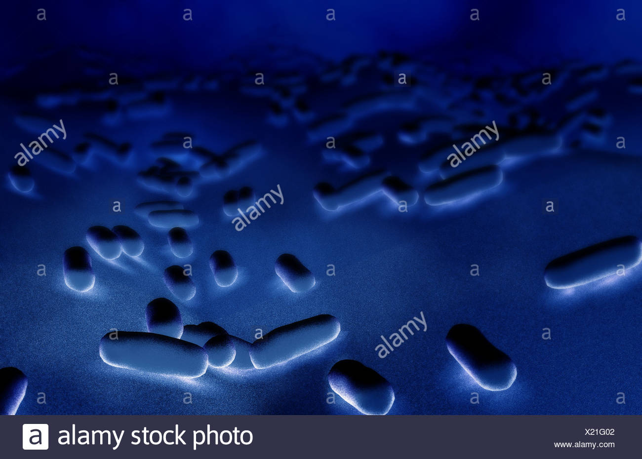 Bacillus Cereus Bacteria Illustration High Resolution Stock Photography ...