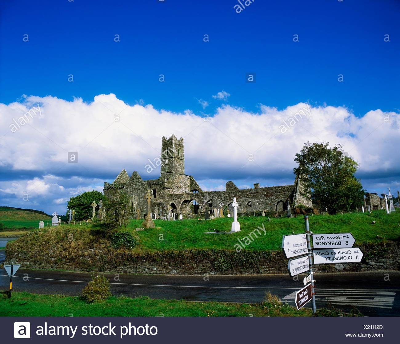 Timoleague Abbey Stock Photos & Timoleague Abbey Stock Images - Alamy