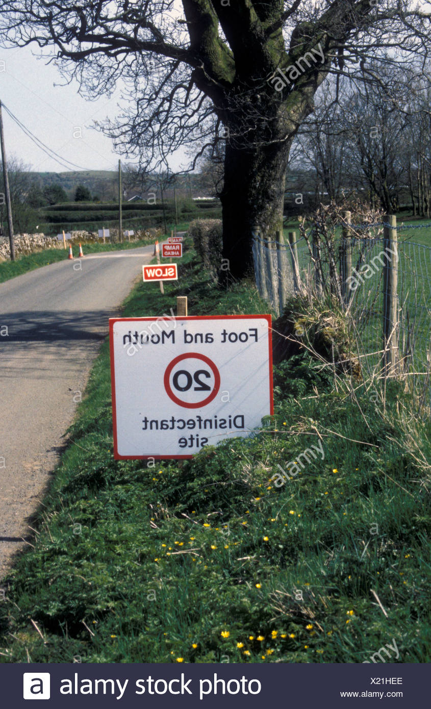 Foot And Mouth 2001 High Resolution Stock Photography and Images - Alamy