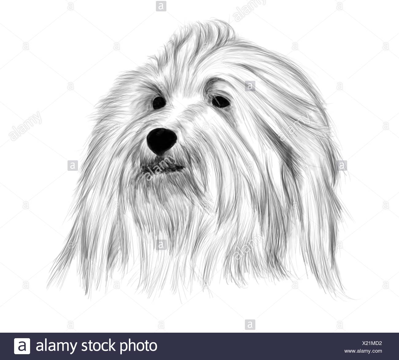 Handdraw Stock Photos & Handdraw Stock Images - Alamy