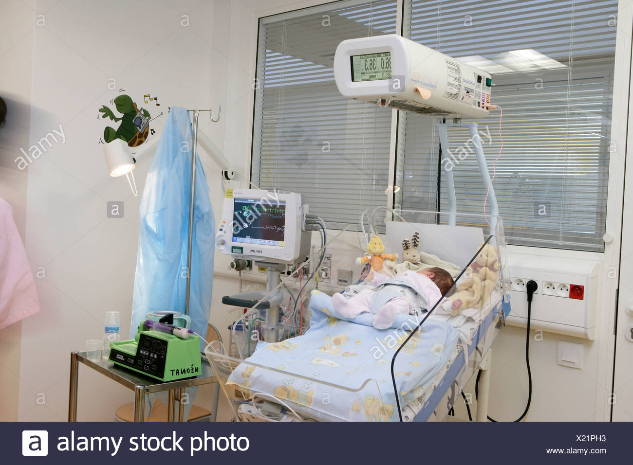 Premature Feeding High Resolution Stock Photography and Images - Alamy