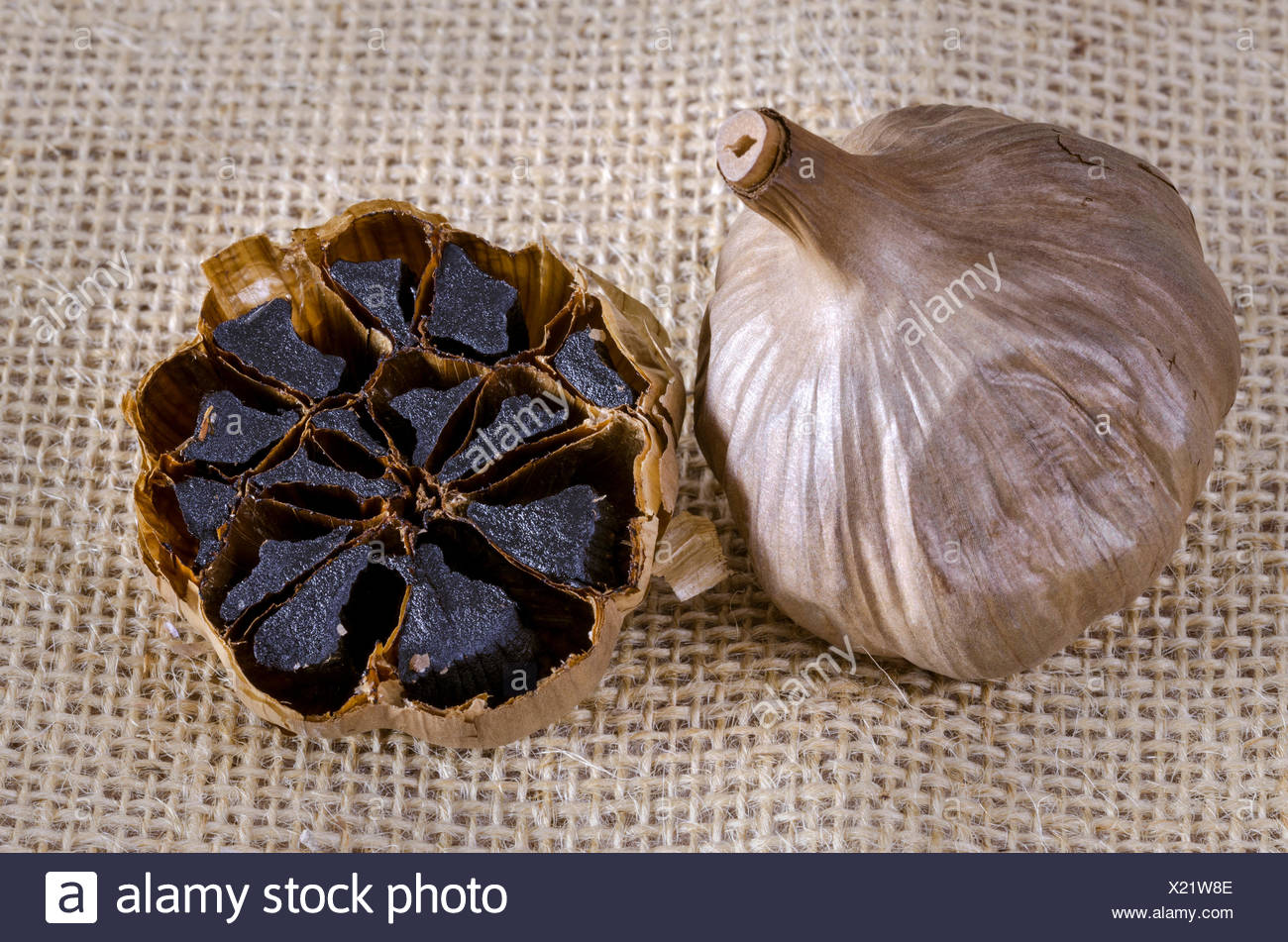 Plant Bulb Cross Section Stock Photos & Plant Bulb Cross Section Stock ...