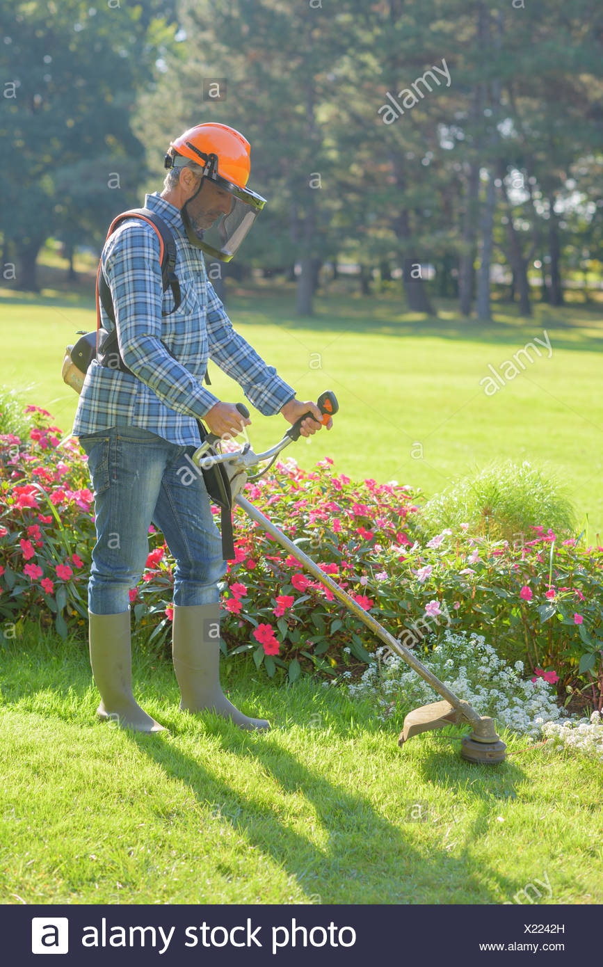 Petrol Strimmer Stock Photos & Petrol Strimmer Stock Images - Alamy