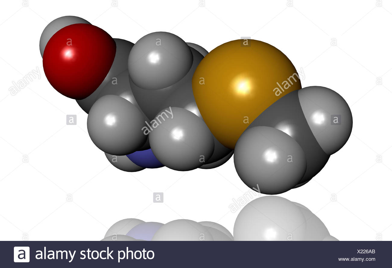 Methionine Stock Photos & Methionine Stock Images - Alamy