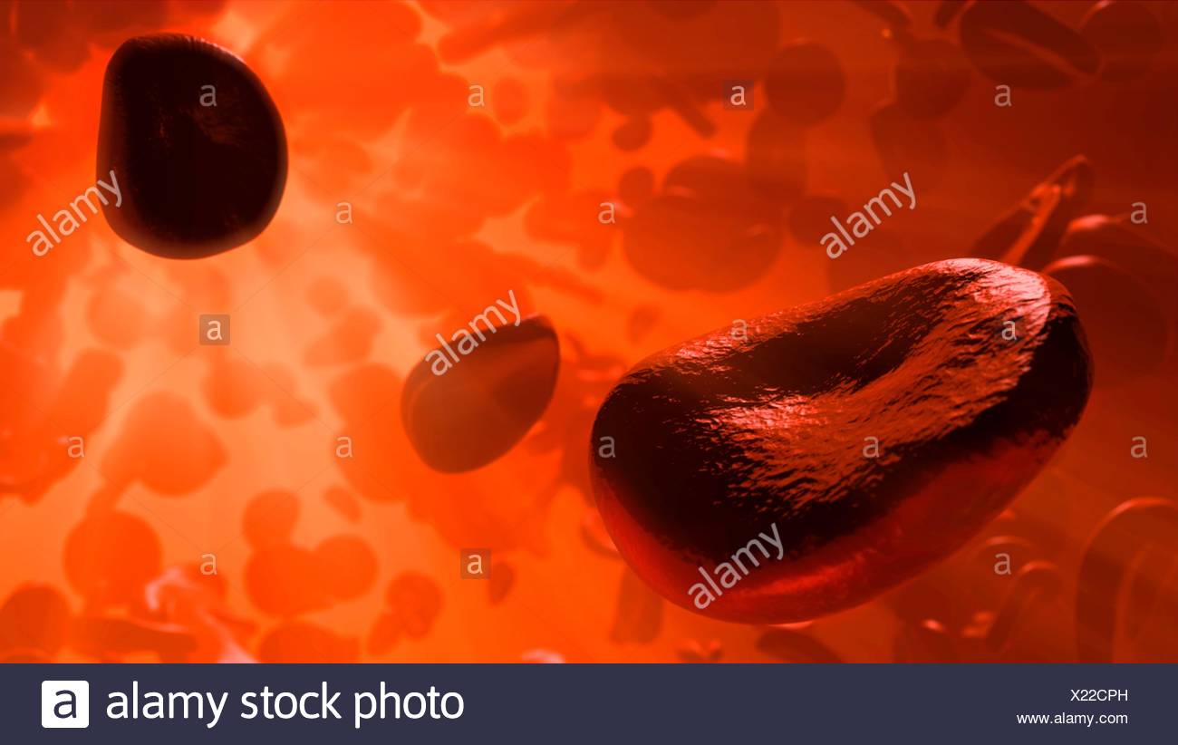 Biconcave Disc High Resolution Stock Photography and Images - Alamy