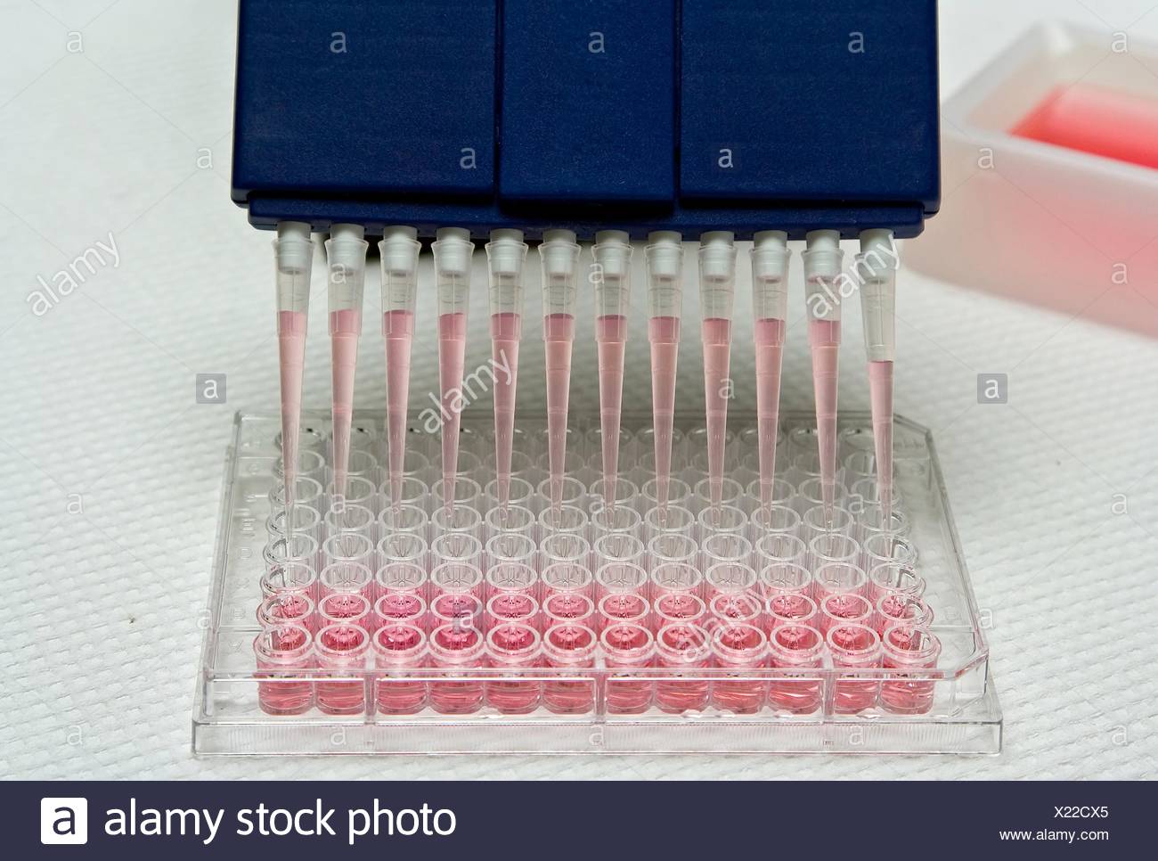 Multi Pipette High Resolution Stock Photography and Images - Alamy
