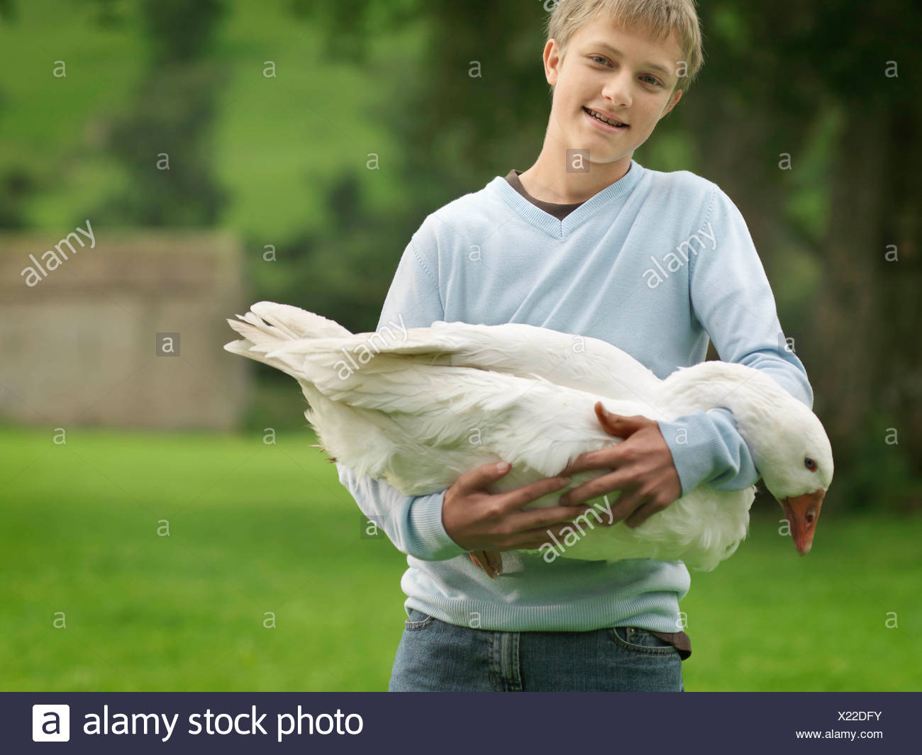 Boy Holding Bird High Resolution Stock Photography and Images - Alamy