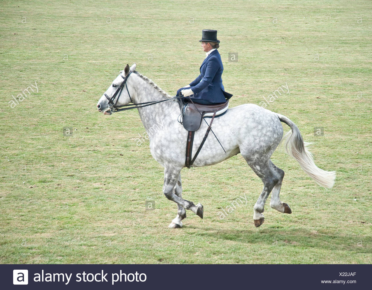 Side Saddle Stock Photos & Side Saddle Stock Images - Alamy