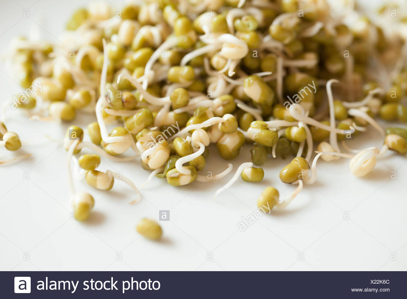 Germination High Resolution Stock Photography and Images - Alamy