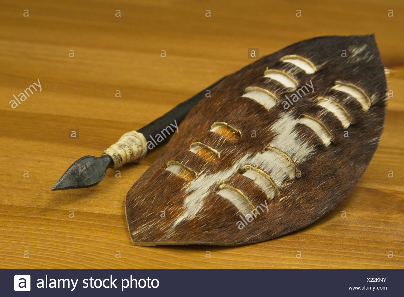 Zulu Spear And Shield High Resolution Stock Photography and Images - Alamy