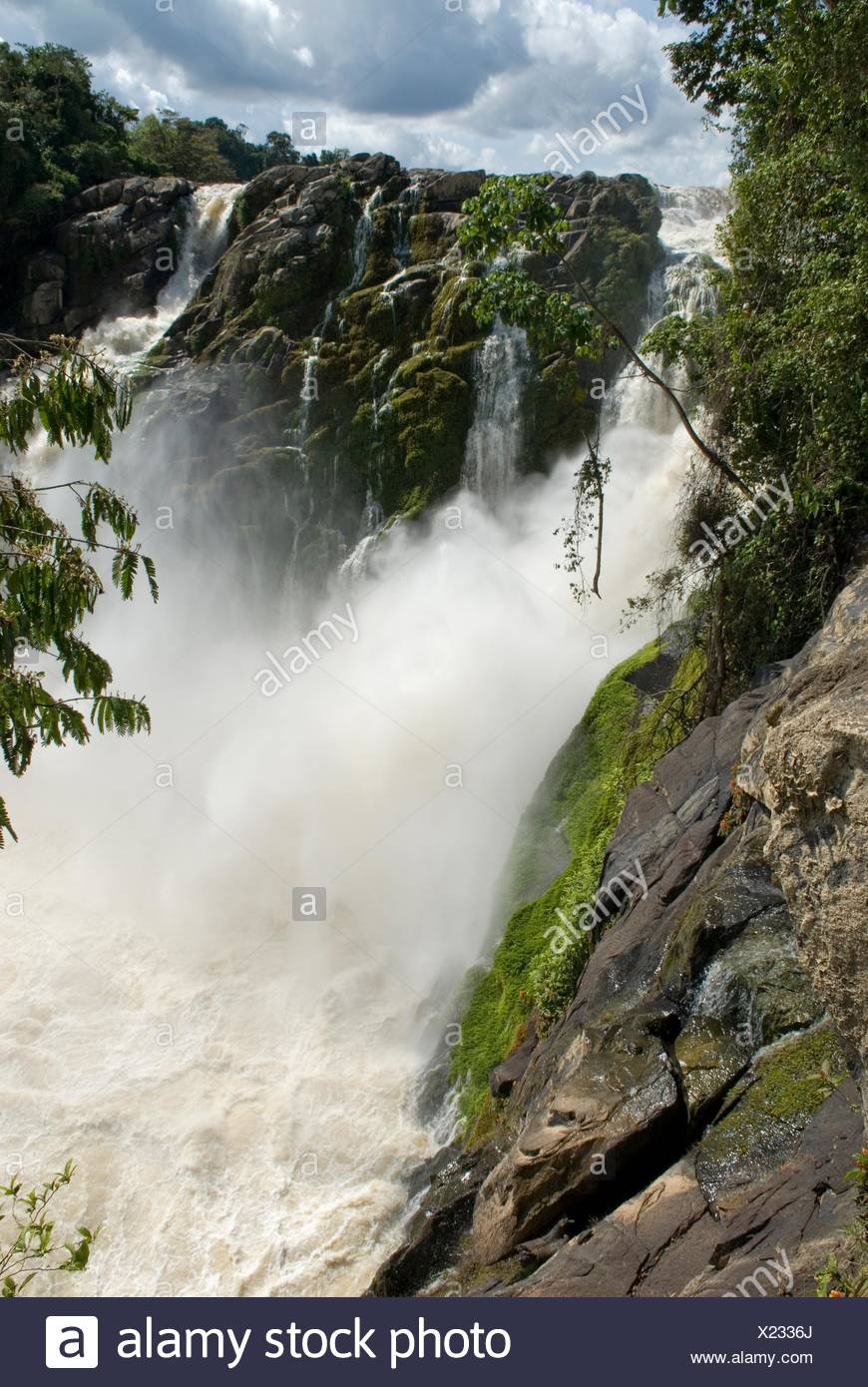 Caura High Resolution Stock Photography and Images - Alamy