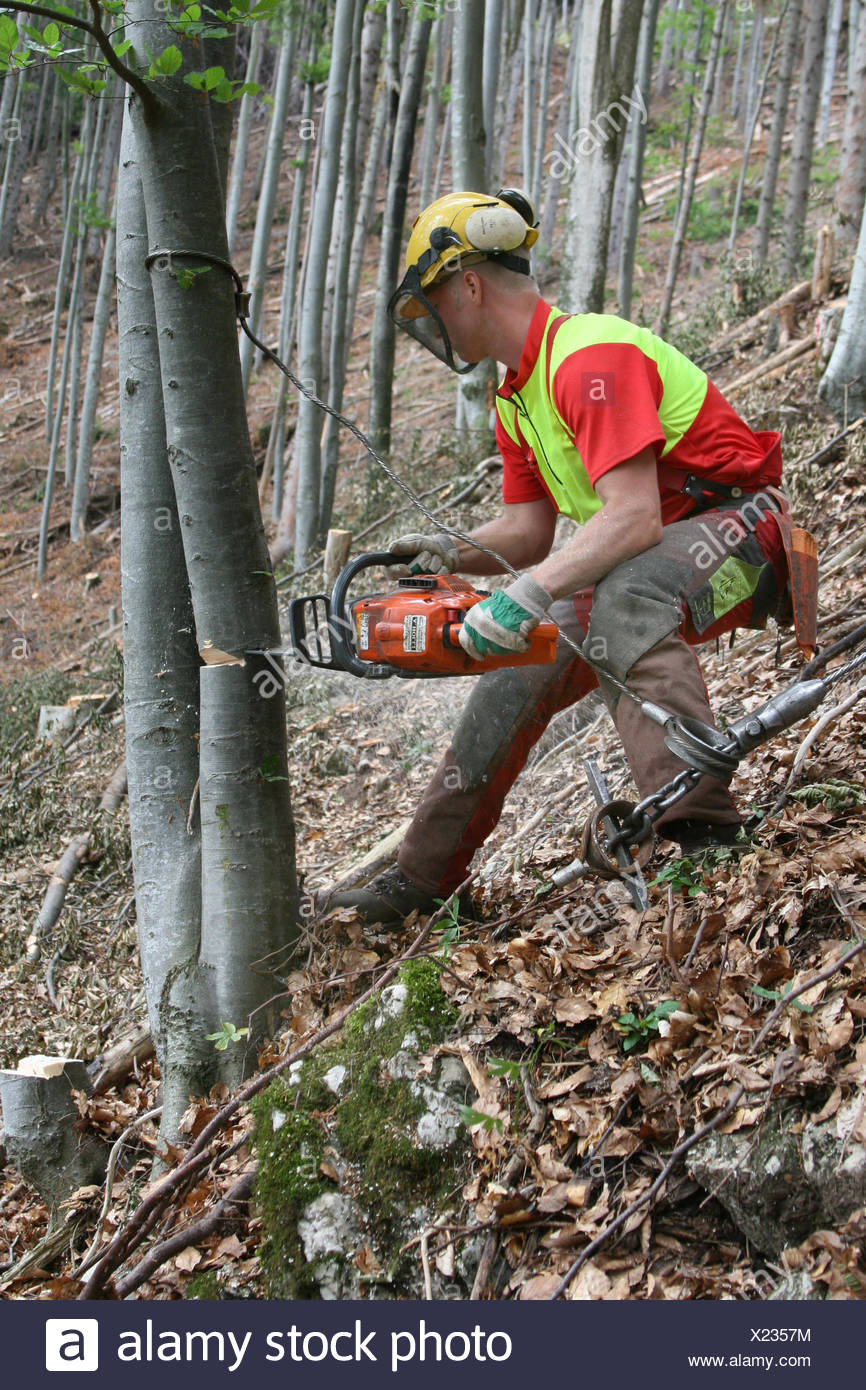 Lumbering Stock Photos & Lumbering Stock Images - Alamy