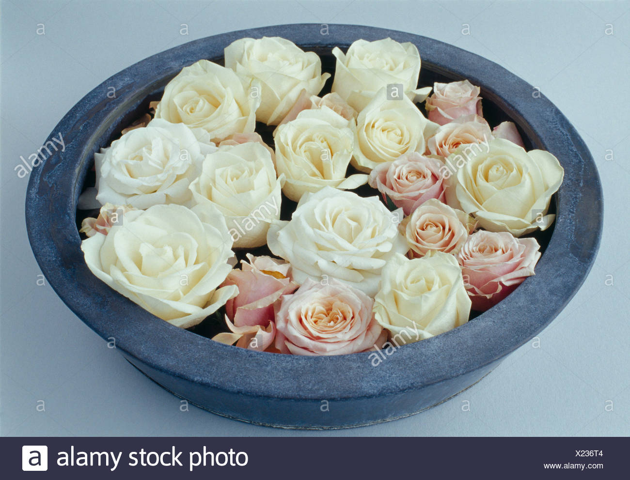 Rose Bowl Stock Photos & Rose Bowl Stock Images - Alamy