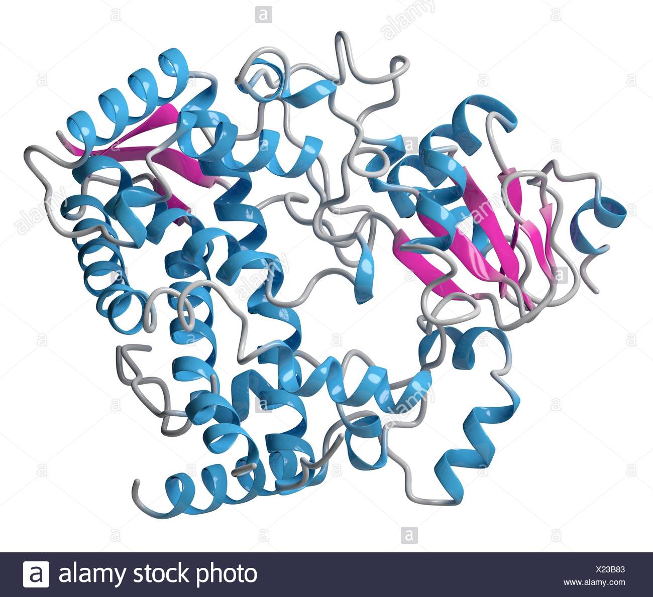 Enzyme Substrate Complex High Resolution Stock Photography and Images ...