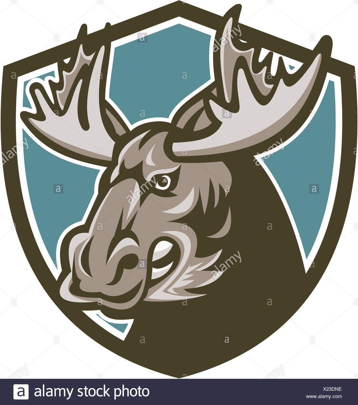 Angry Moose High Resolution Stock Photography and Images - Alamy