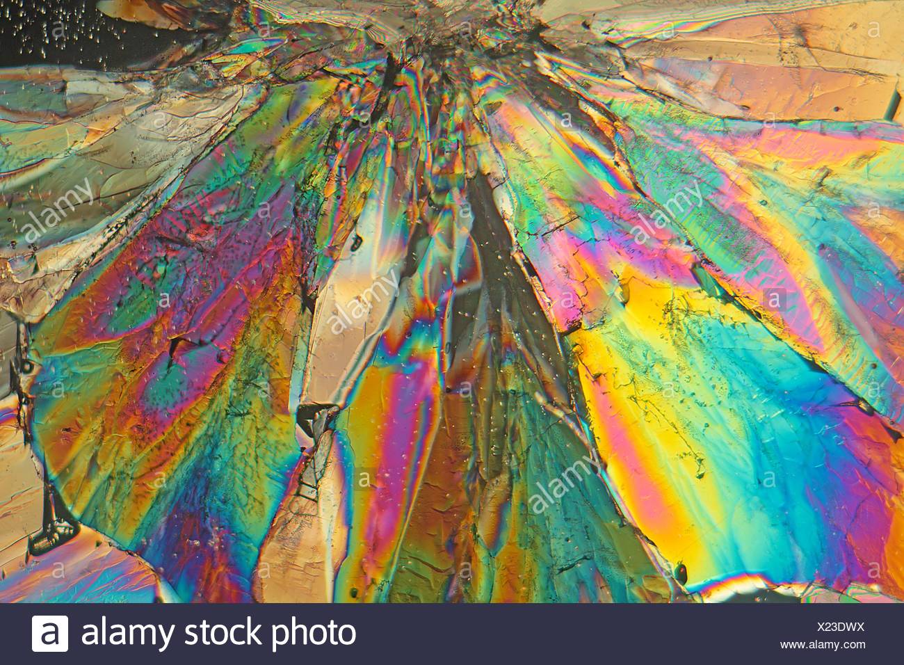 Sugar Microscope High Resolution Stock Photography and Images - Alamy