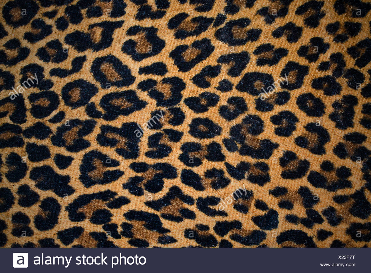 Leopard Very Closeup High Resolution Stock Photography and Images - Alamy