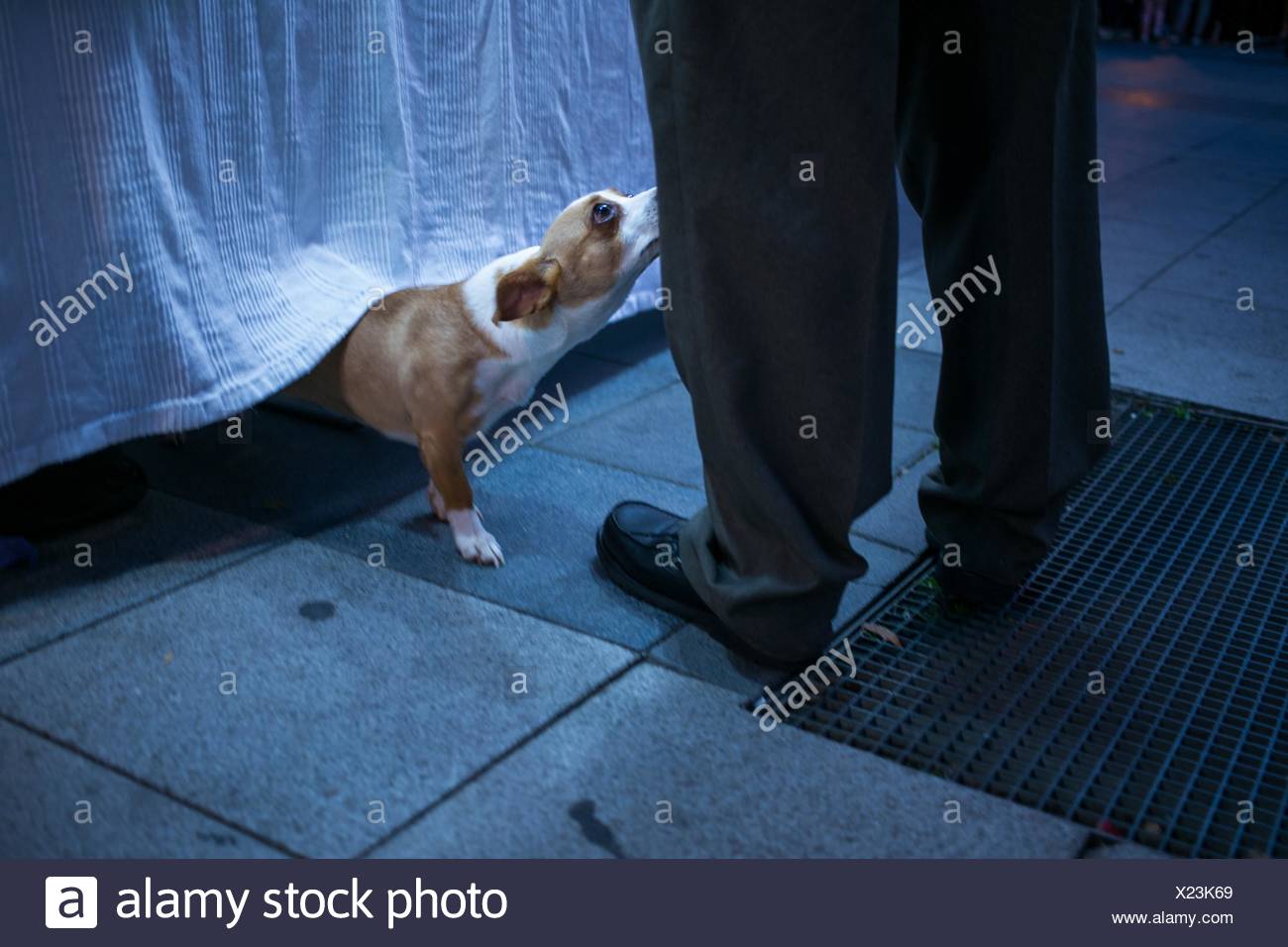 Submissive Man High Resolution Stock Photography and Images - Alamy