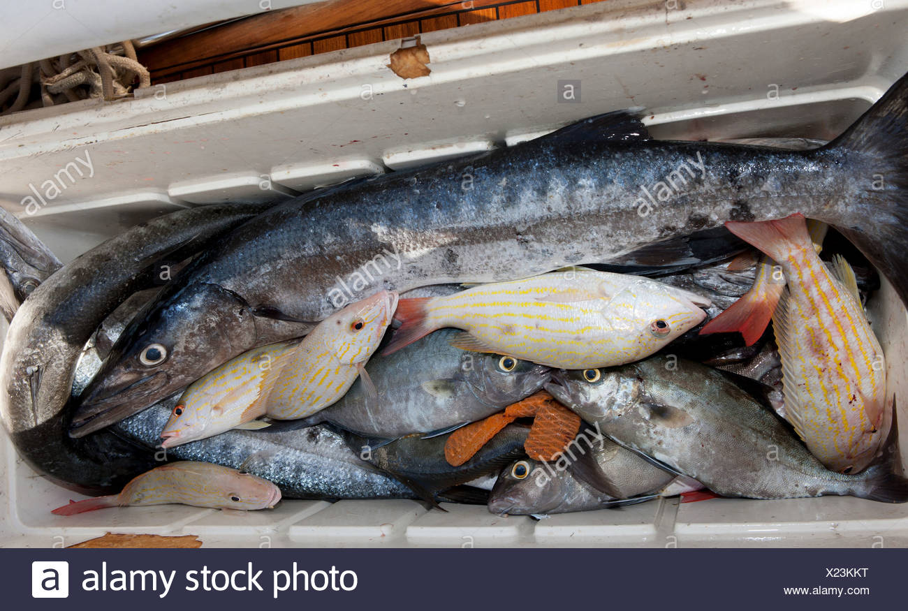 Life To The Full High Resolution Stock Photography and Images - Alamy