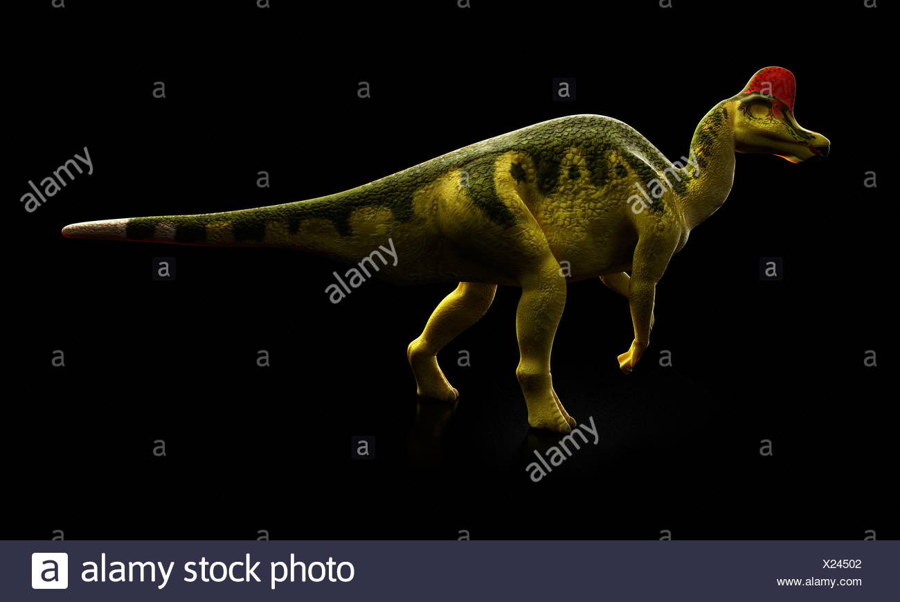 Hadrosaurus High Resolution Stock Photography and Images - Alamy
