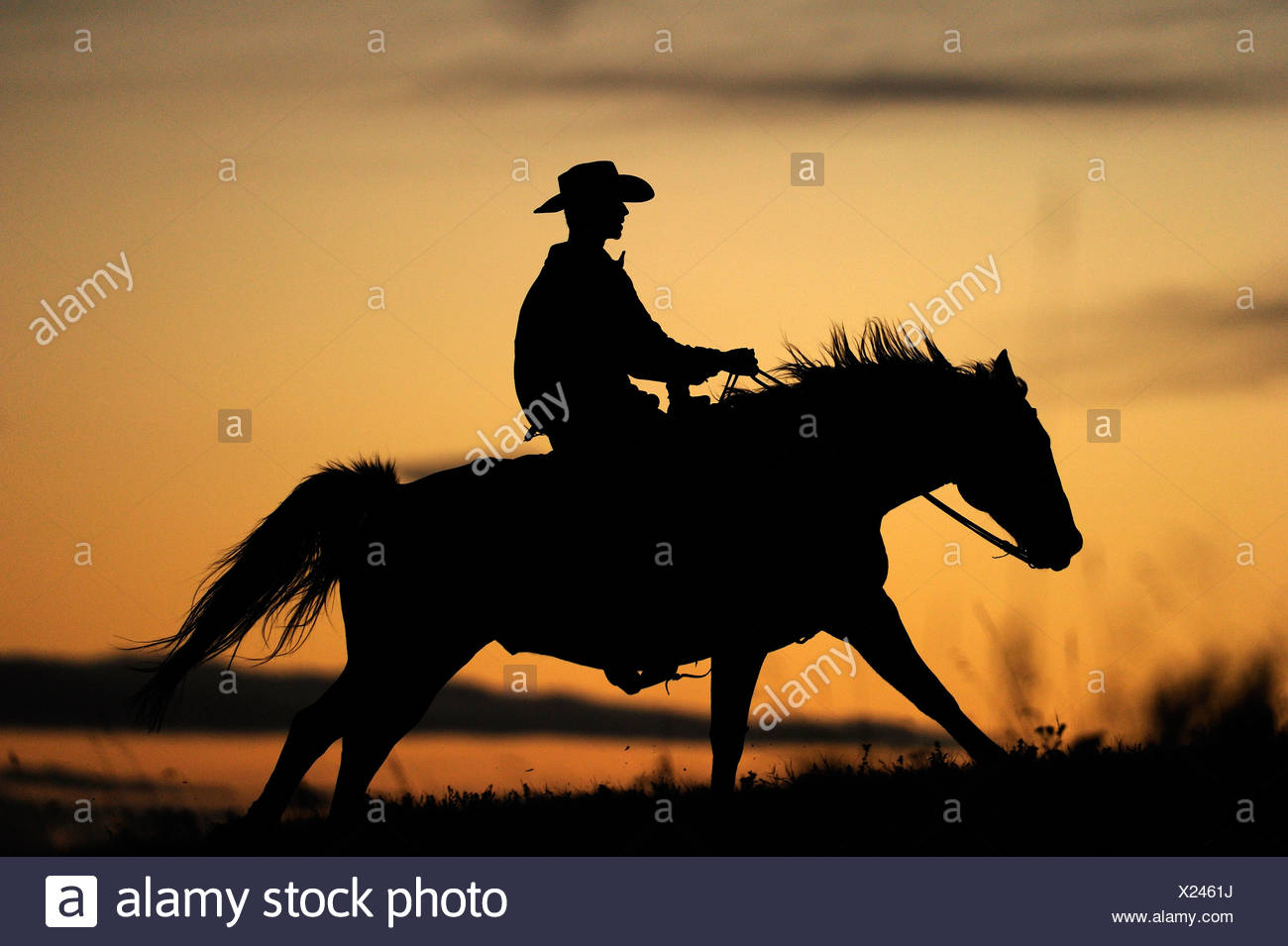 Cowboy Riding Into Sunset Stock Photos & Cowboy Riding Into Sunset ...