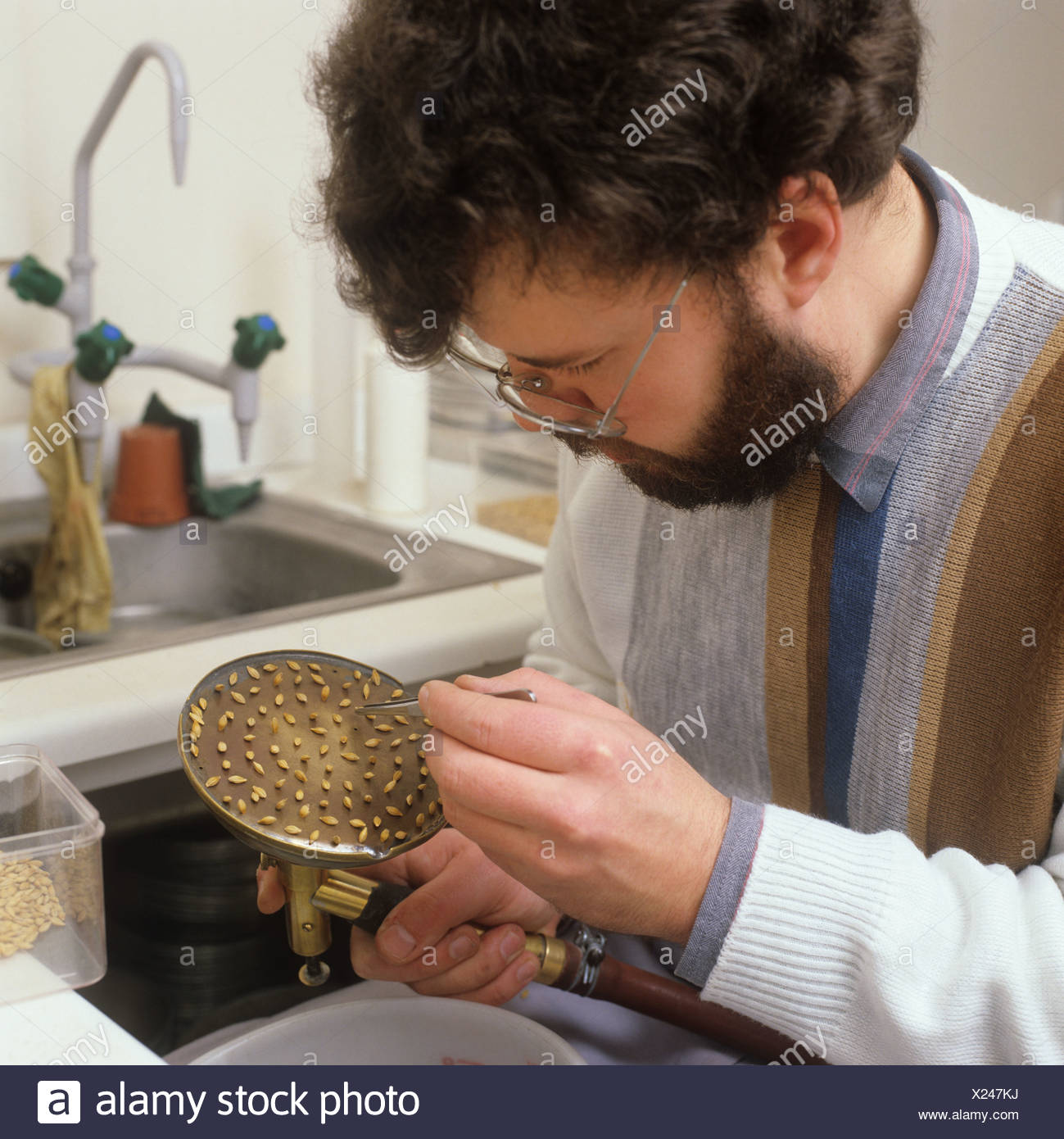 Testing Seeds High Resolution Stock Photography and Images - Alamy