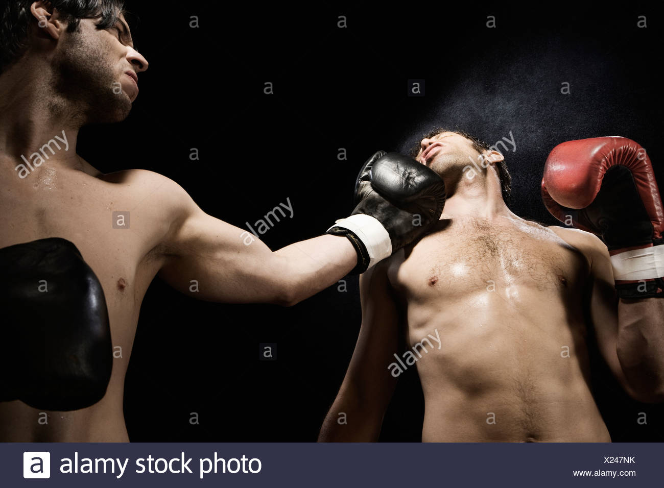 Boxer Match Two High Resolution Stock Photography and Images - Alamy