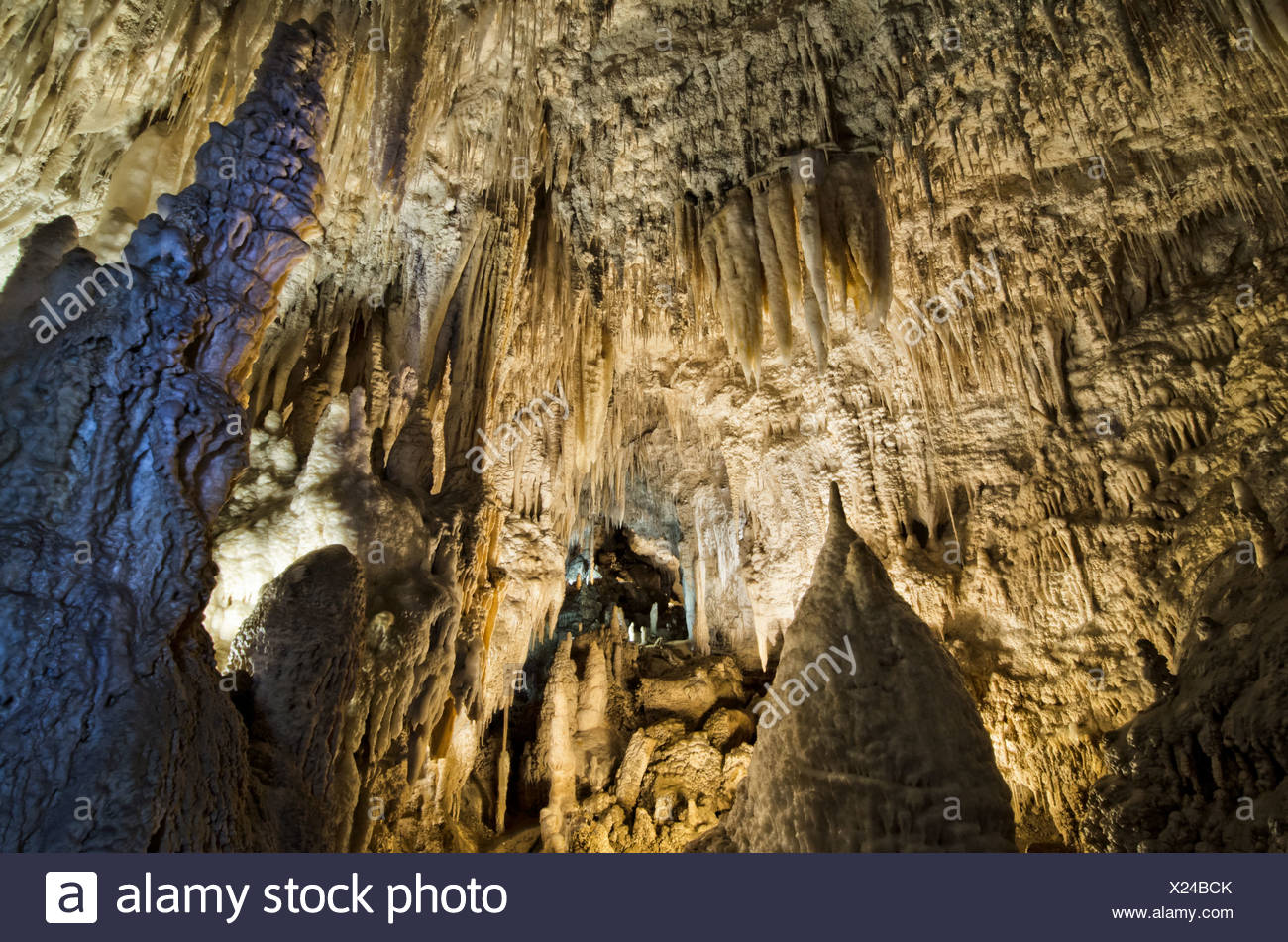 Waitomo New Zealand Cave High Resolution Stock Photography and Images ...